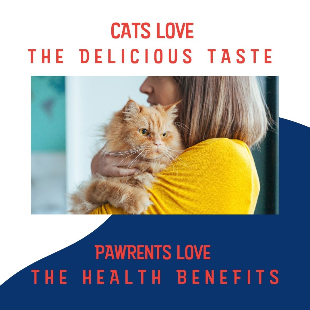 Kitty Up - Where Nutrition Meets Function