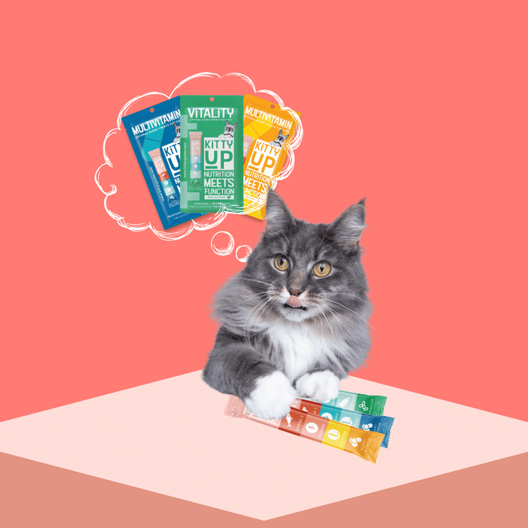 Cat Multivitamin & Immunity Purées | Kitty Up – Kitty Up