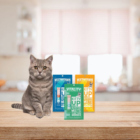 Kitty Up - Where Nutrition Meets Function